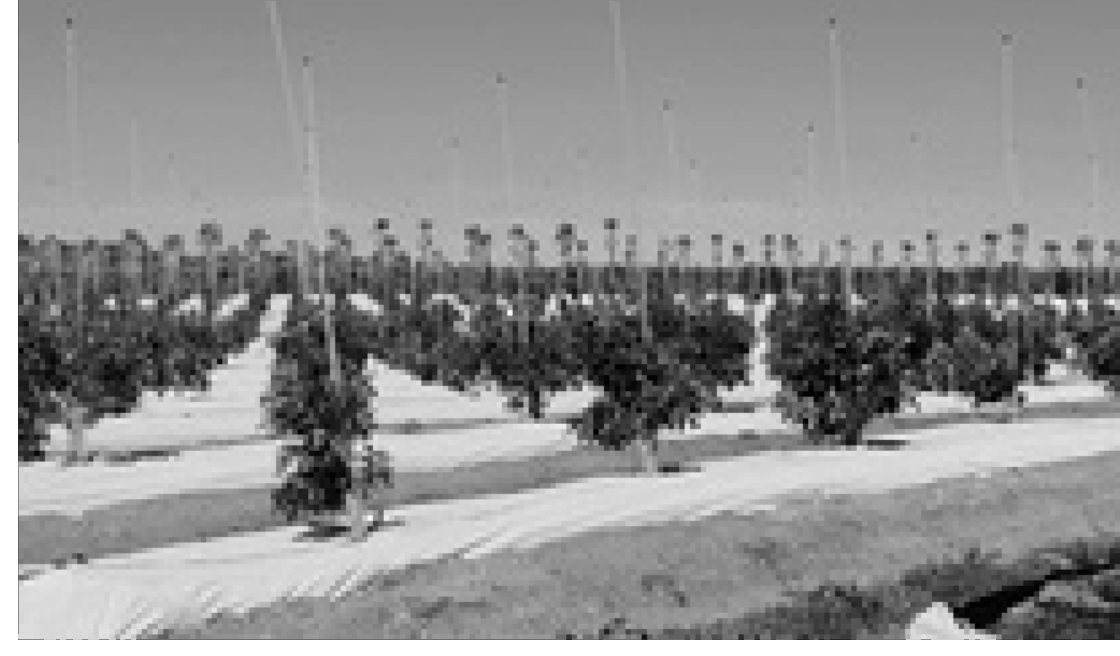 Sobre nosotros - DNT non woven fabrics - No Tejido