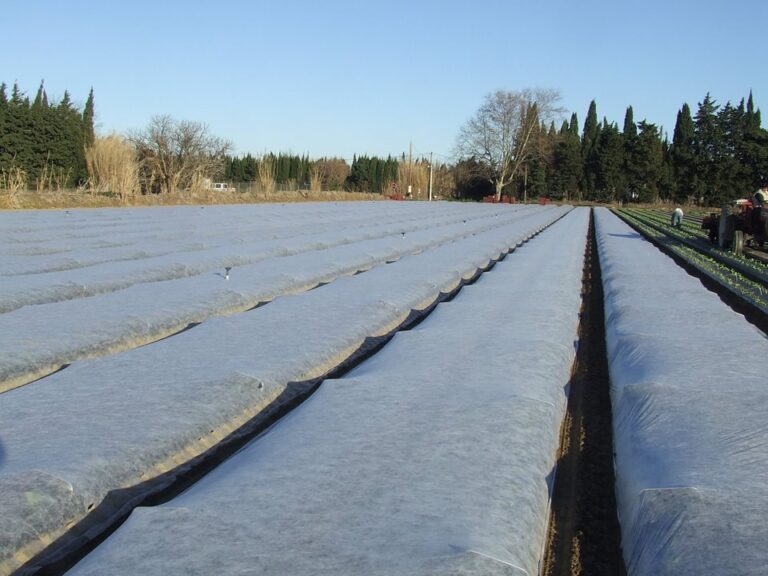 Thermal crop cover to prevent the cold in your crops - DNT non woven ...